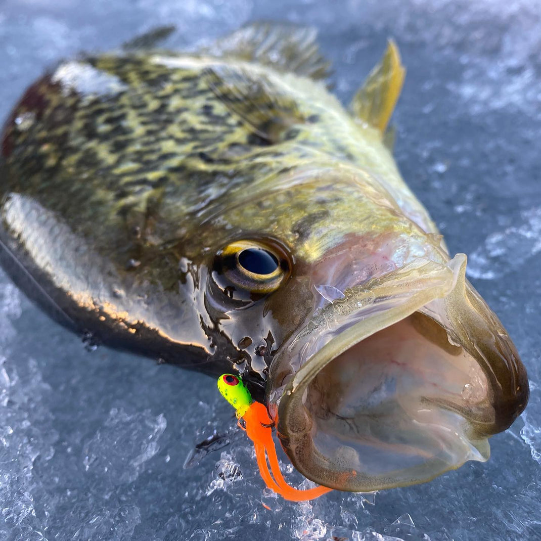 P3 Plastics – Panfish Pursuers LLC